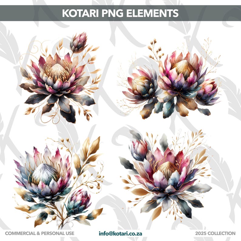 Protea With Gold - Transparent PNG Clipart - Commercial Use - Etsy