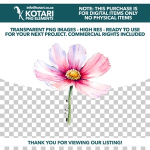 Hand Painted Cosmos - Transparent PNG Clipart - Commercial Use - Etsy