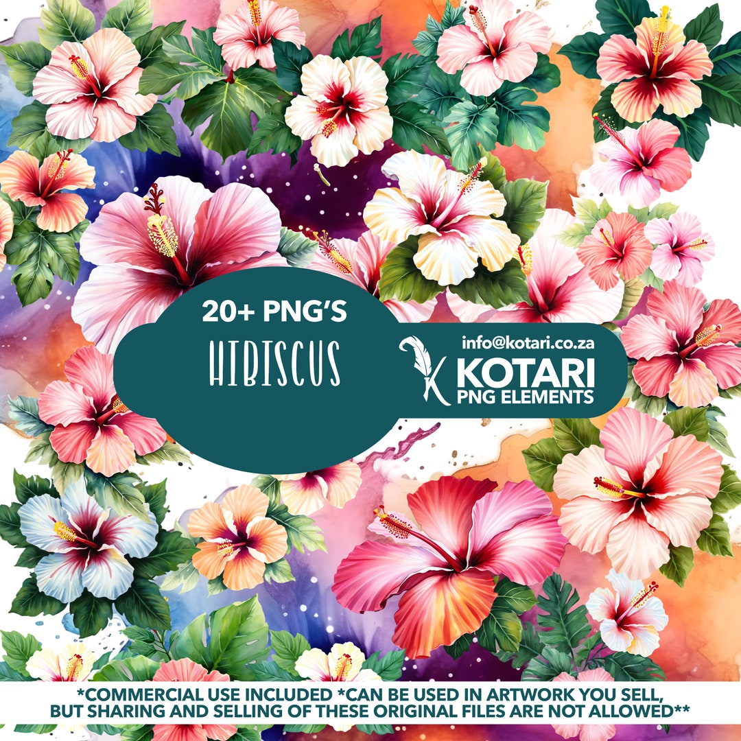 Hibiscus - Transparent PNG Clipart - Commercial Use - Etsy