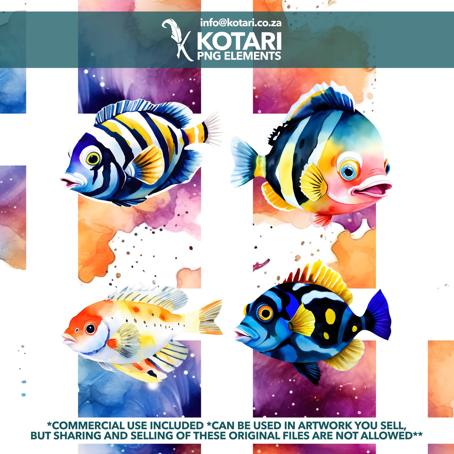 Mixed Coral Reef Fish Transparent PNG Clipart Commercial Use - Etsy