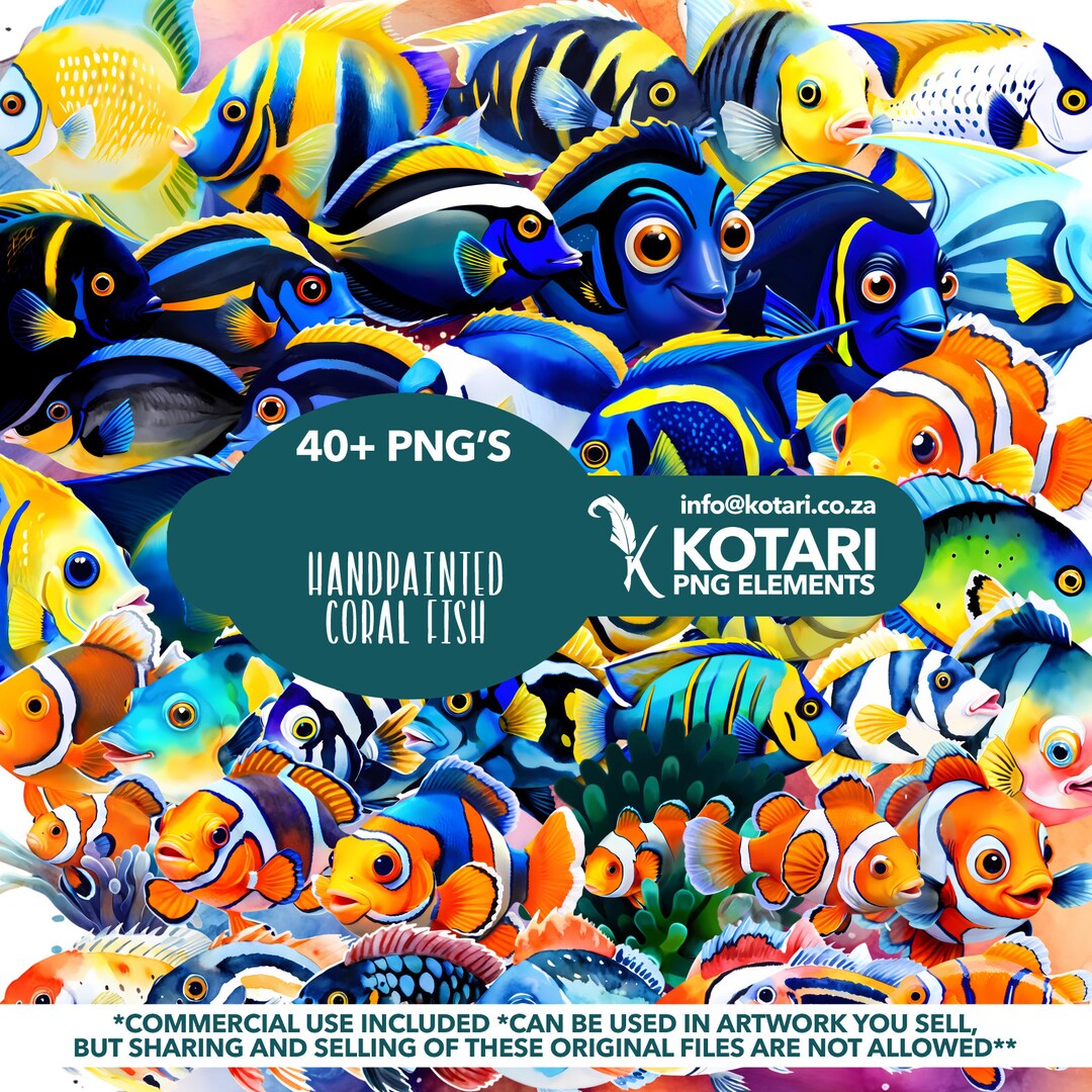 Mixed Coral Reef Fish - Transparent PNG Clipart - Commercial Use - Etsy