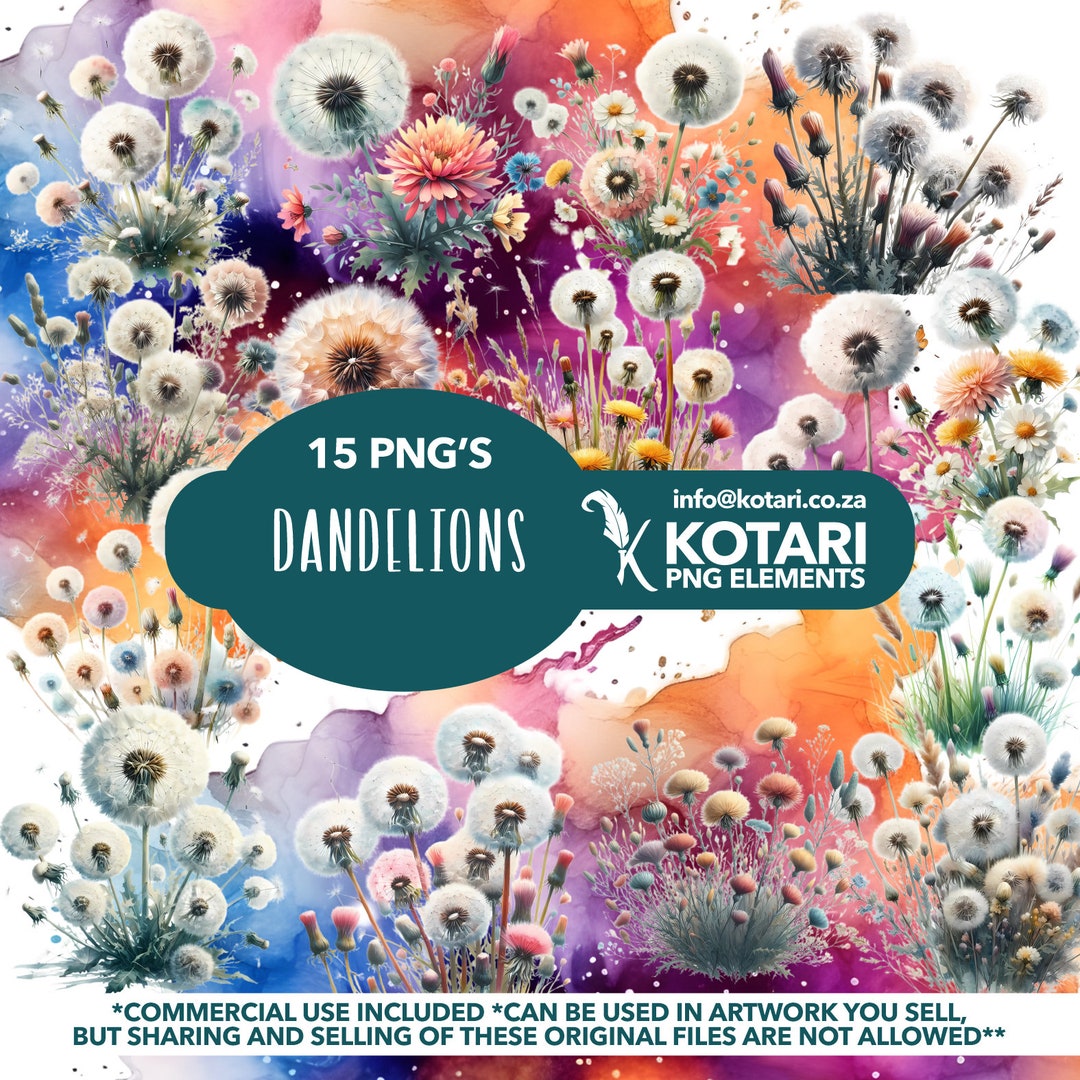 Dandelions - - Transparent PNG Clipart - Commercial Use - Etsy
