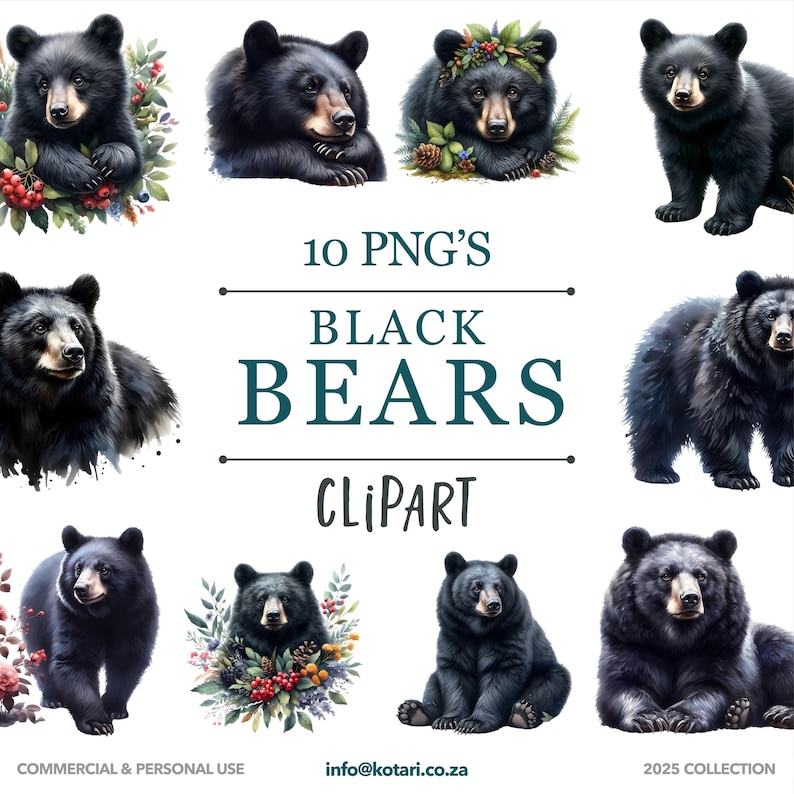 Black Bear - Transparent PNG Clipart - Commercial Use - Etsy
