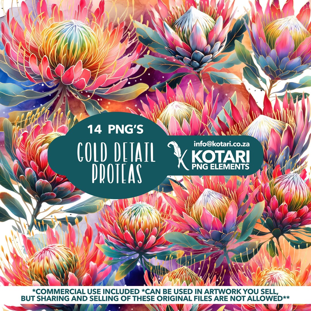 Gold Detail Proteas - Transparent PNG Clipart - Commercial Use - Etsy