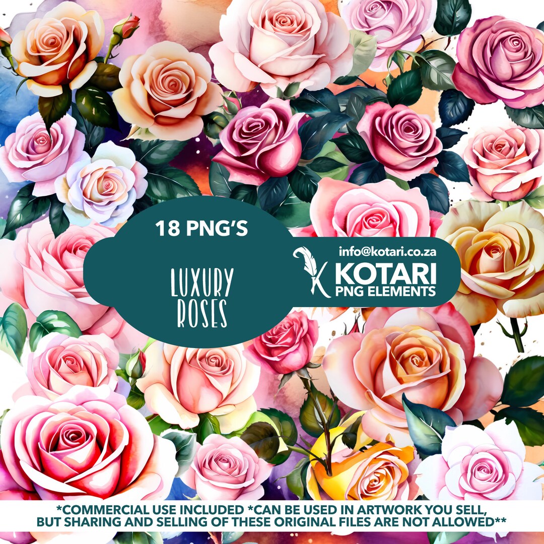 Luxury Watercolor Roses - Transparent PNG Clipart - Commercial Use - Etsy