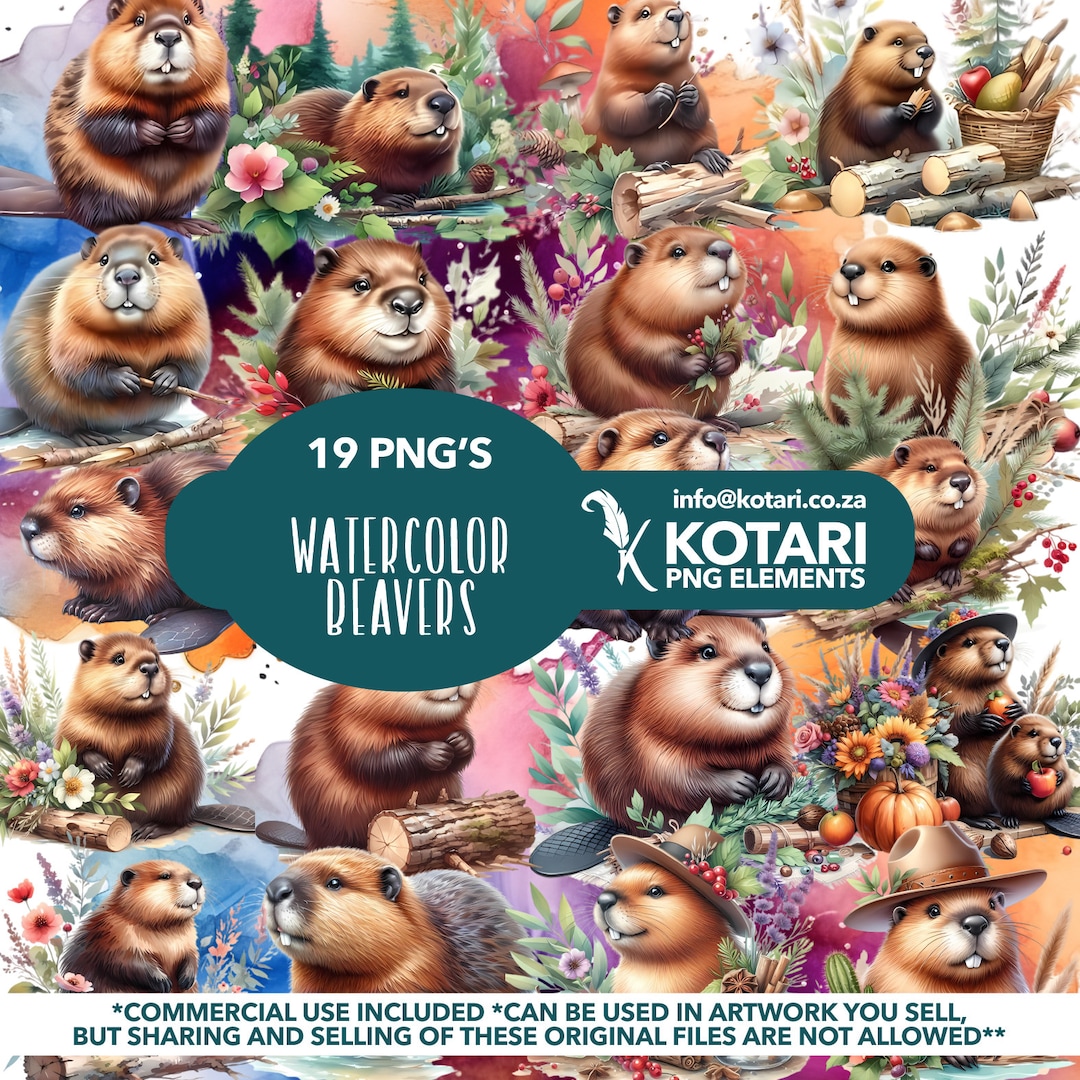 Beavers - Transparent PNG Clipart - Commercial Use - Etsy