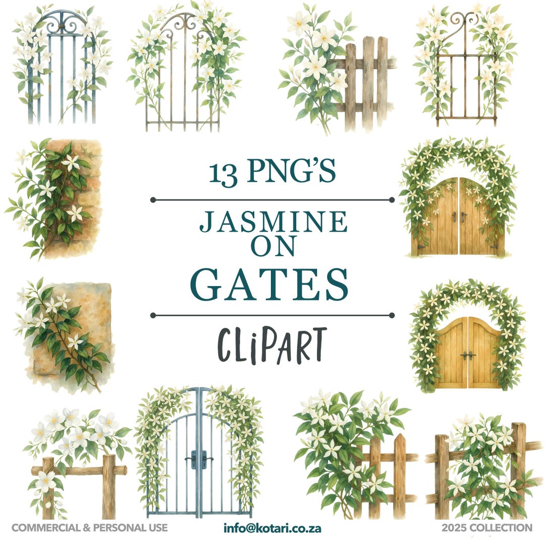 Jasmine on Gates - Transparent PNG Clipart - Commercial Use - Etsy ...