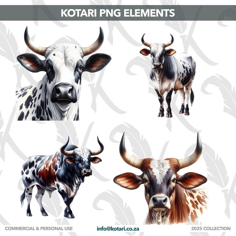 Nguni Cows - Transparent PNG Clipart - Commercial Use - Etsy