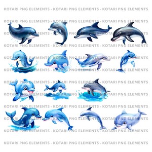 Hand Painted Dolphins - Transparent PNG Clipart - Commercial Use - Etsy