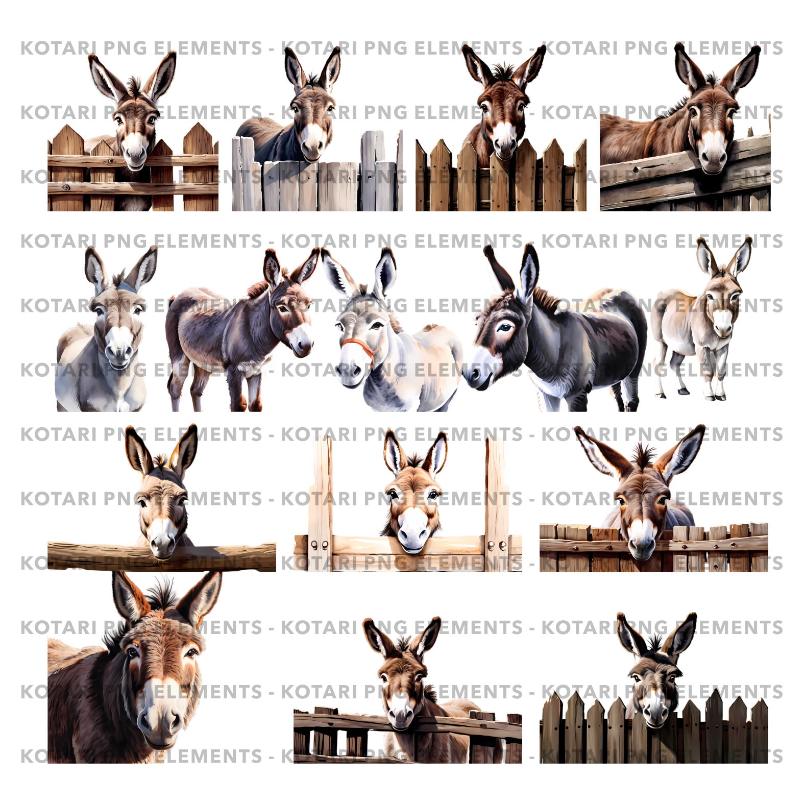 Peaking Donkeys Transparent PNG Clipart Commercial Use - Etsy