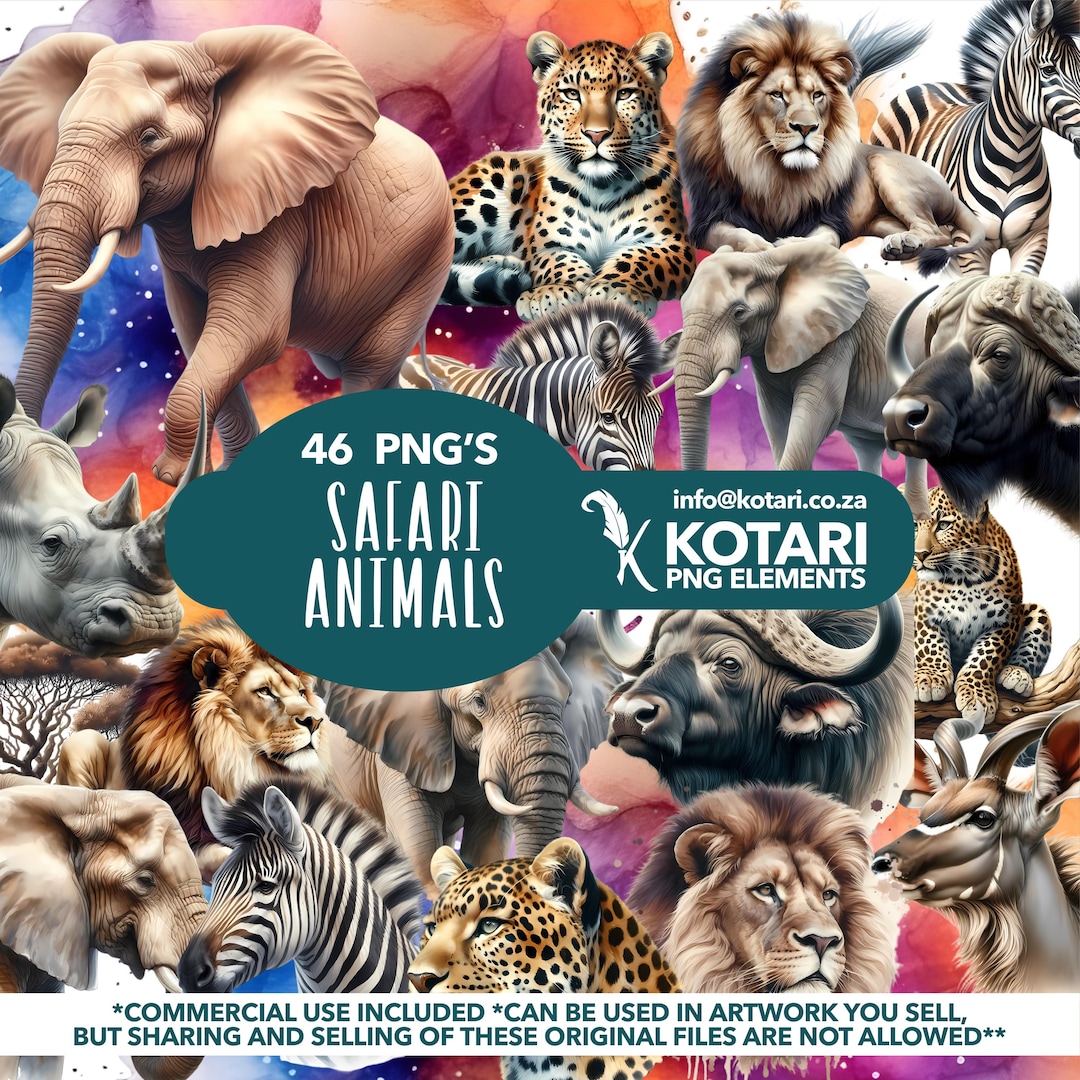 Safari Animals - Transparent PNG Clipart - Commercial Use - Etsy