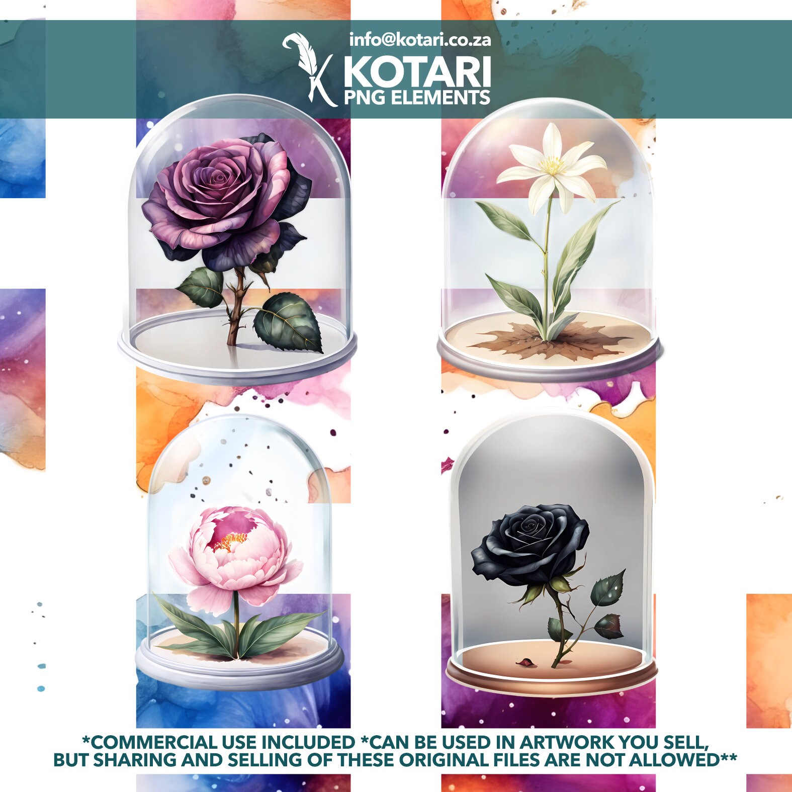 Flower in A Dome Transparent PNG Clipart Commercial Use - Etsy