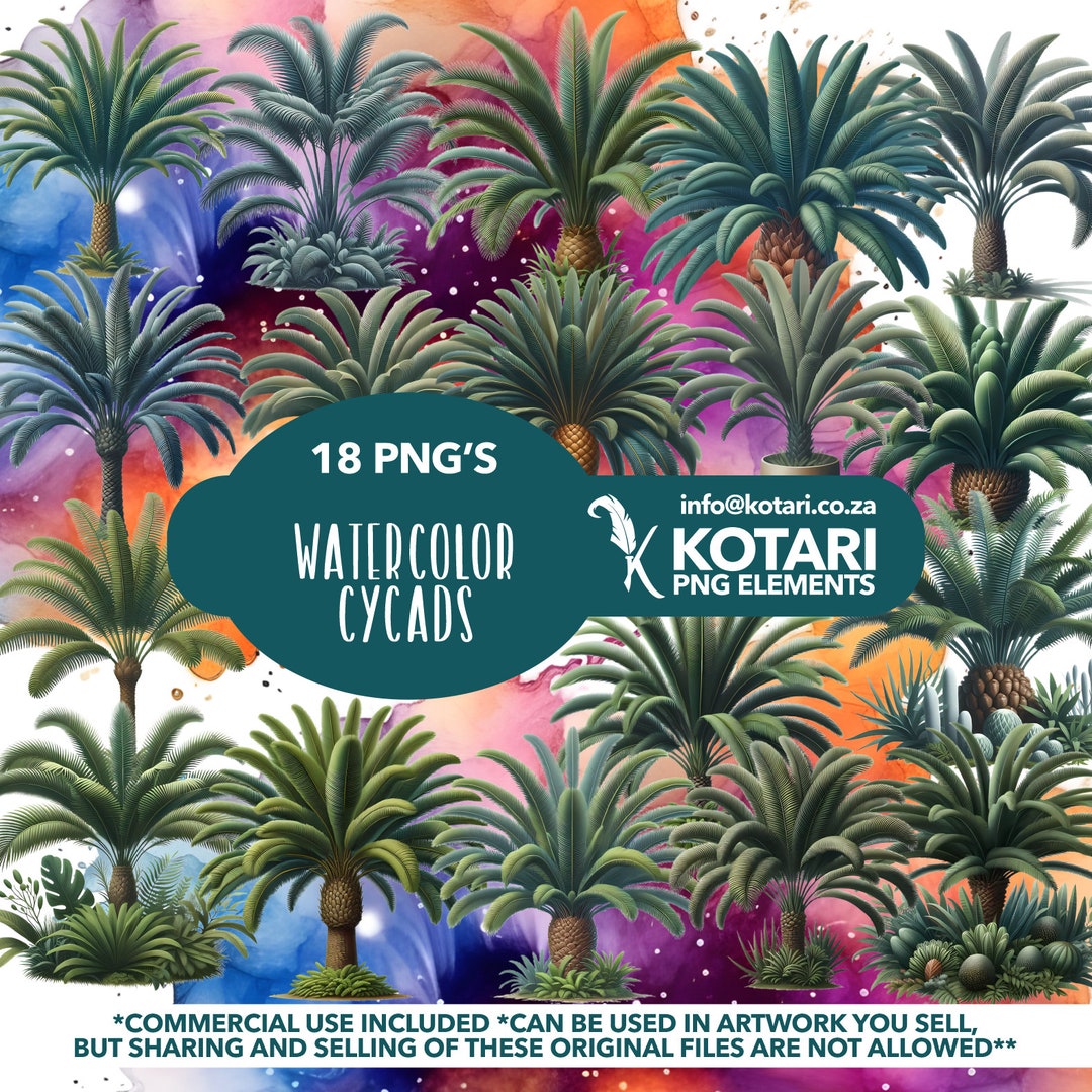 Watercolor Cycads - Transparent PNG Clipart - Commercial Use - Etsy