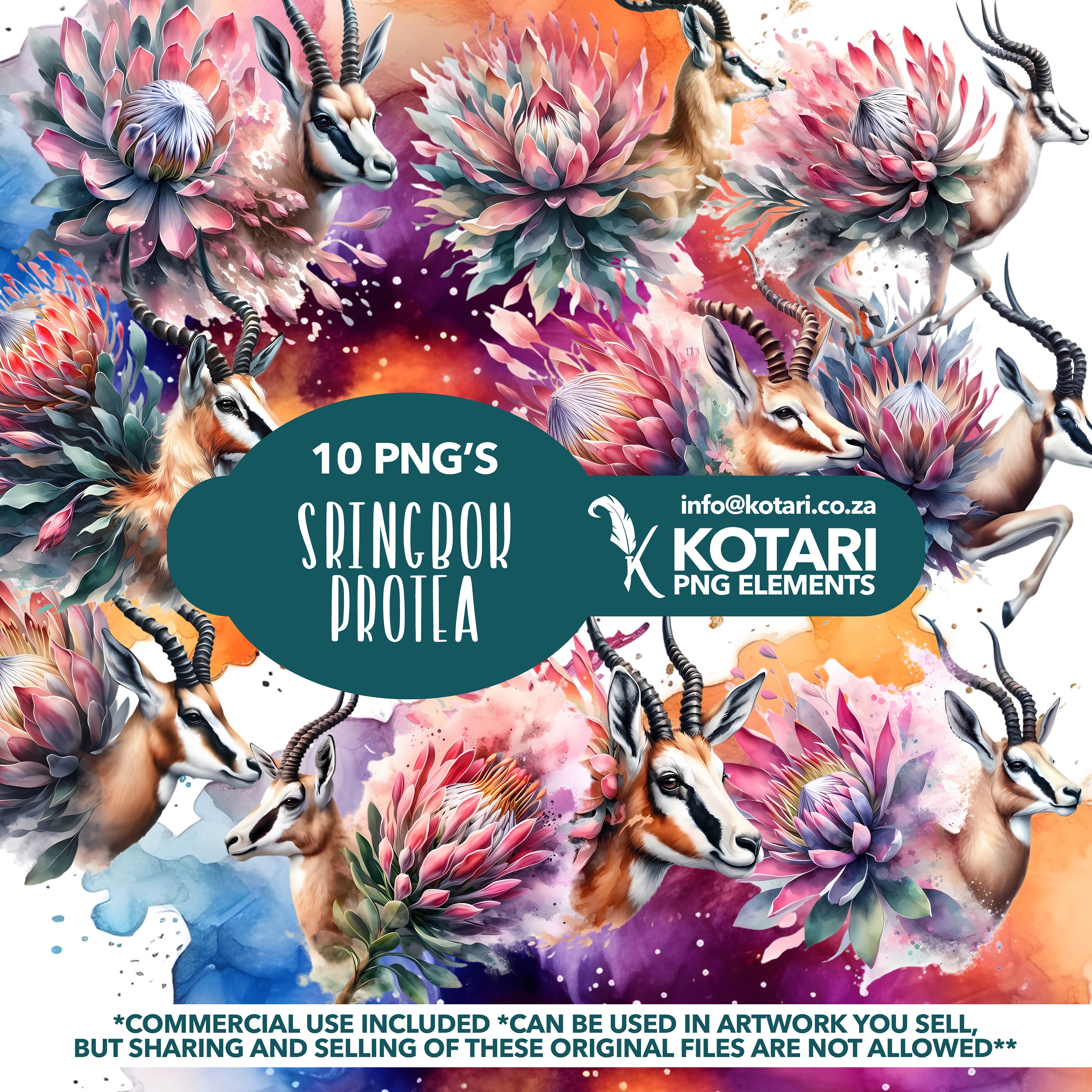 Springbok and Protea - Transparent PNG Clipart - Commercial Use - Etsy