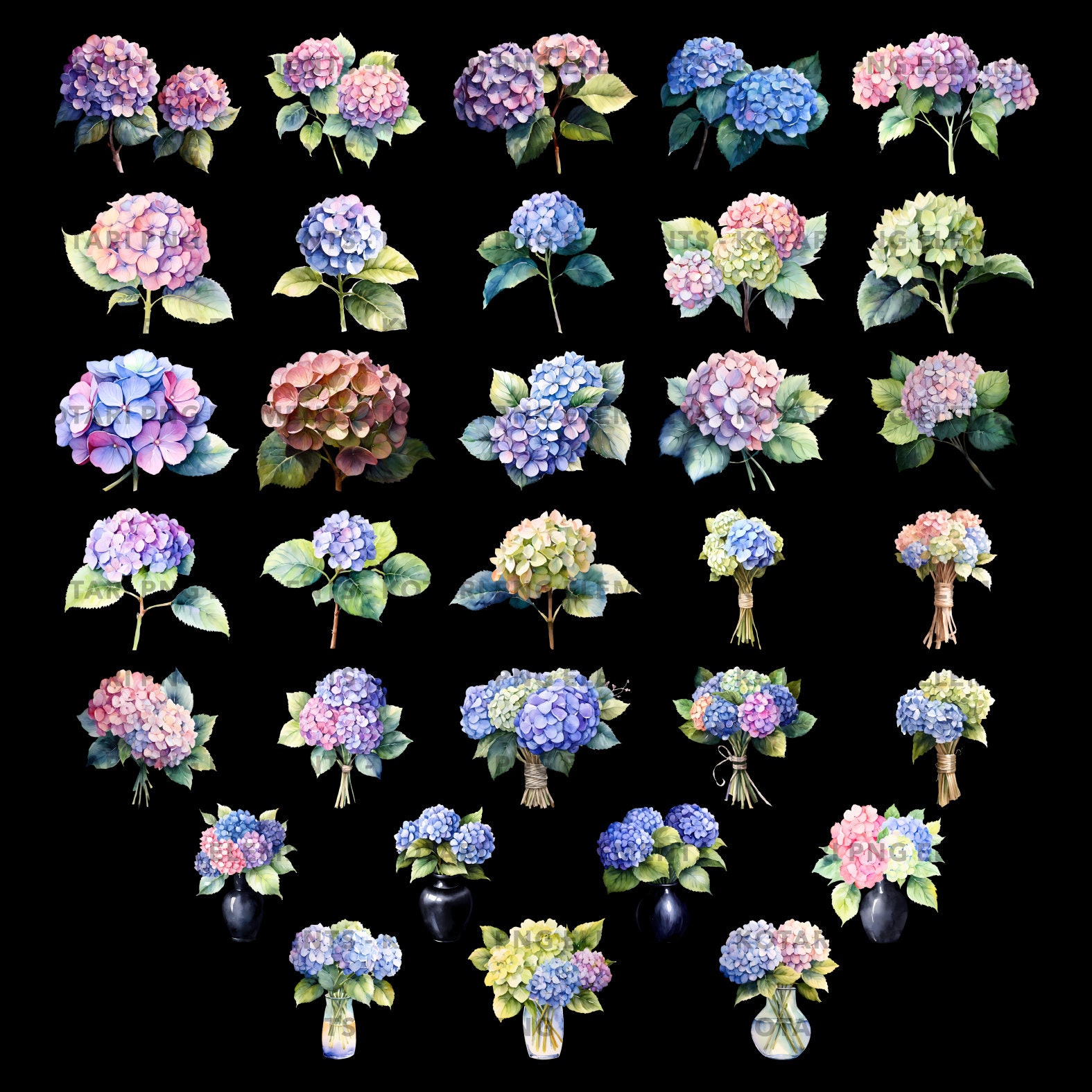 Hydrangea - Transparent PNG Clipart - Commercial Use - Etsy