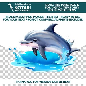 Hand Painted Dolphins - Transparent PNG Clipart - Commercial Use - Etsy