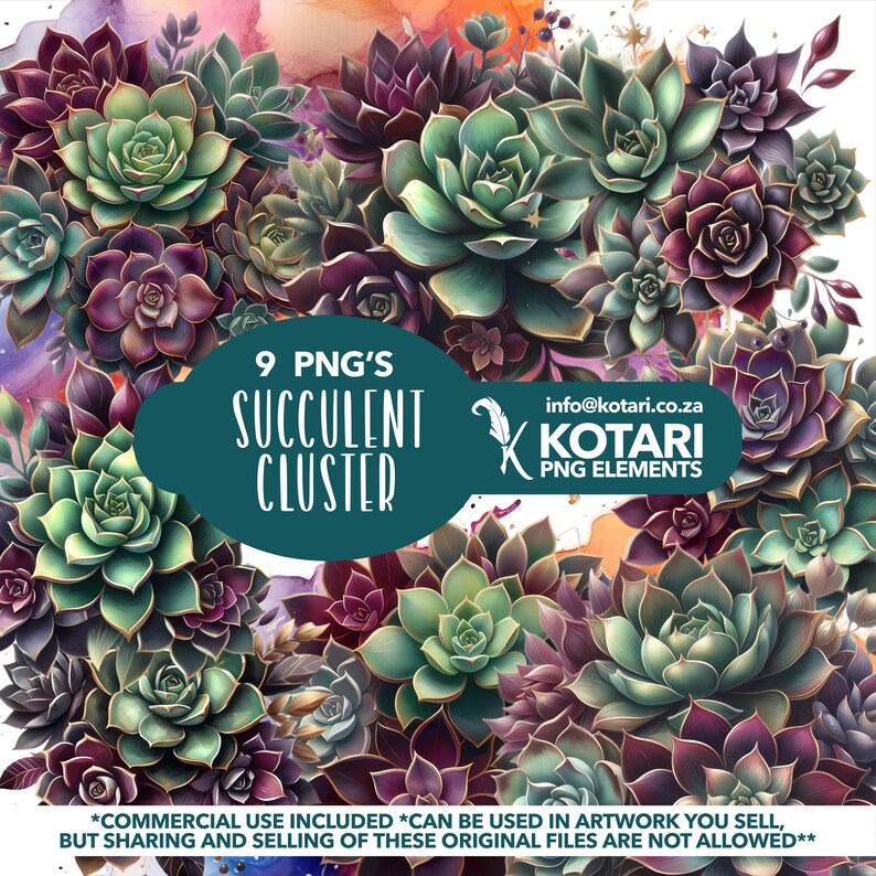 Succulent Clusters - Transparent PNG Clipart - Commercial Use - Etsy
