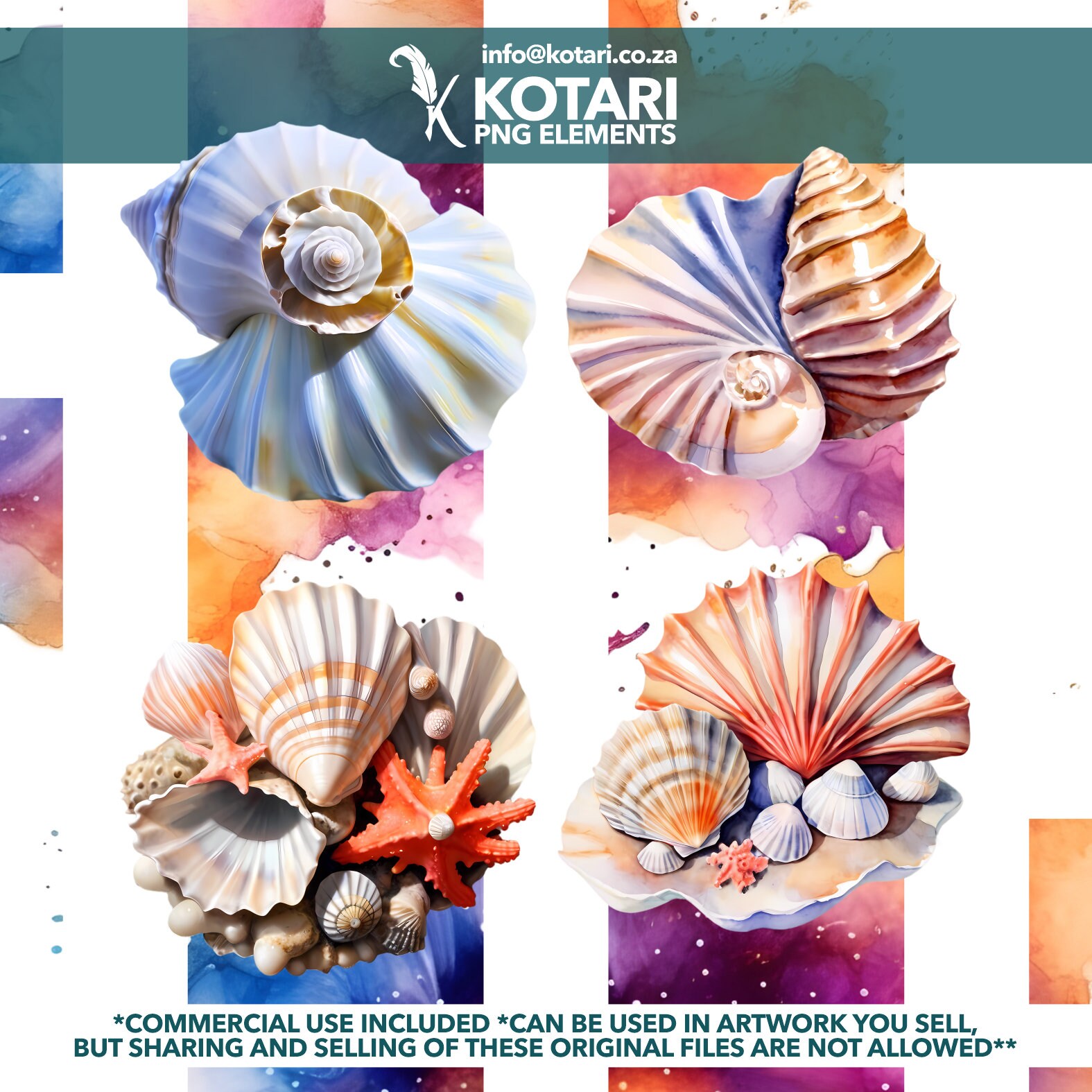 Sea Shells Transparent PNG Clipart Commercial Use - Etsy
