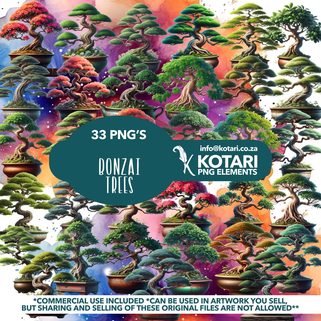 Bonsai Trees - Transparent PNG Clipart - Commercial Use - Etsy