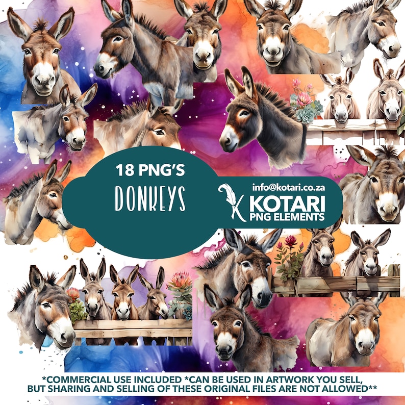 Donkeys - Transparent PNG Clipart - Etsy