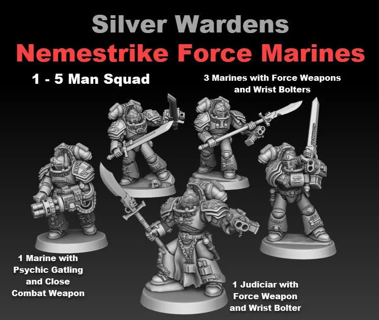 Silver Wardens Combat Area Patrol Kit - Etsy