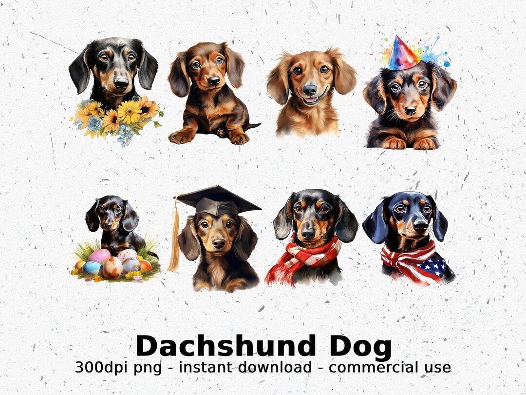 Dachshund Dog Clipart PNG Watercolor Clip Art Bundle Digital - Etsy