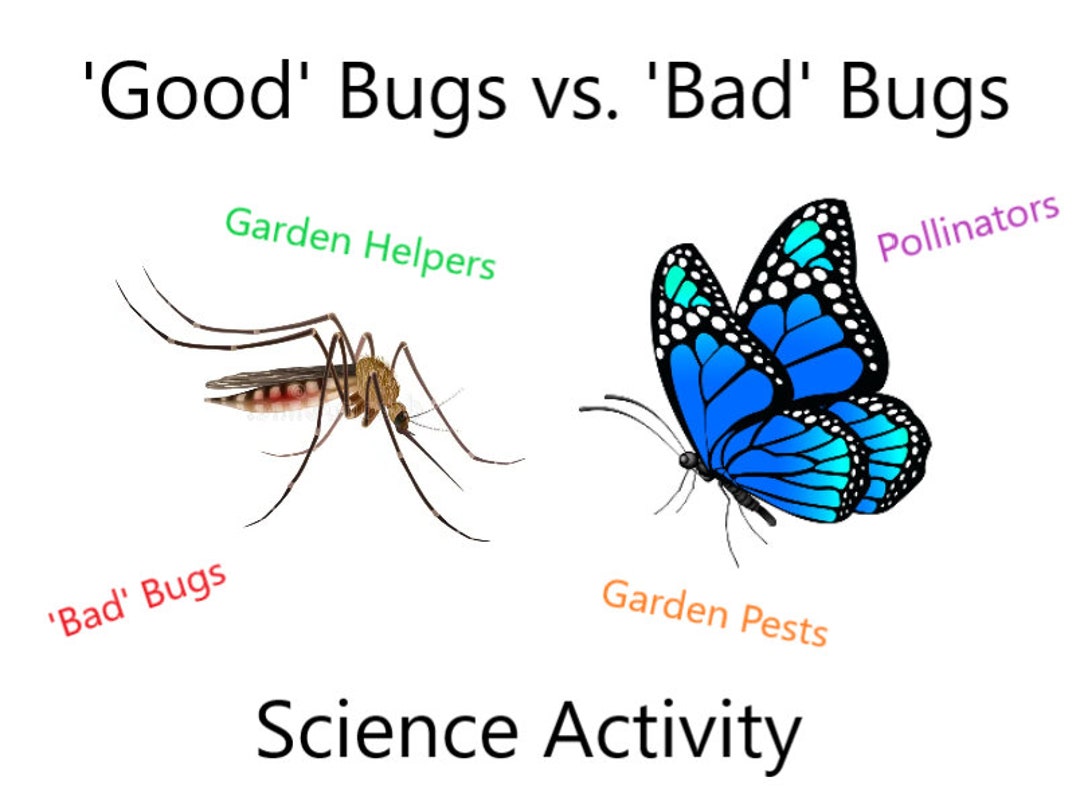 Good Bugs Vs. Bad Bugs Science Activity - Etsy