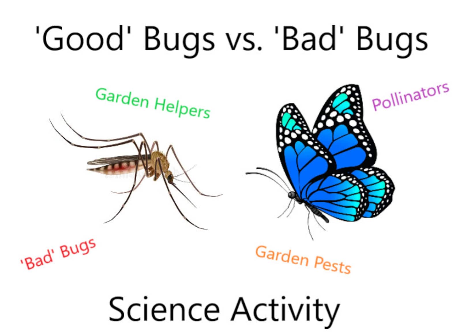 Good Bugs Vs. Bad Bugs Science Activity - Etsy