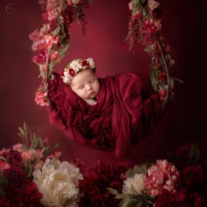 Newborn Digital Backdrop, Red Floral Swing, Newborn Fineart Floral ...