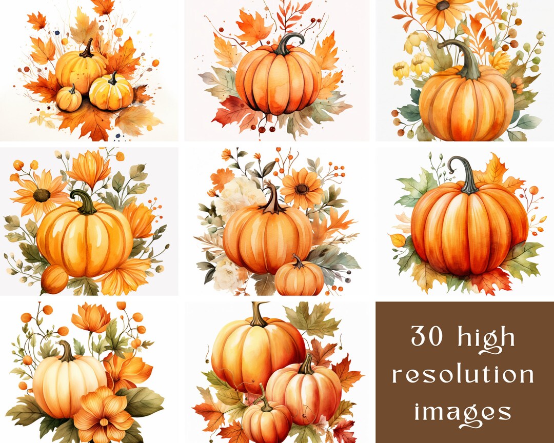 30 High-resolution Pumpkin Clipart PNG Images - Autumn Harvest ...