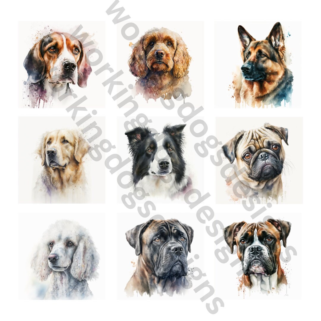 Watercolor Dog Portrait Clipart - Dog Bundle PNG Format Instant ...