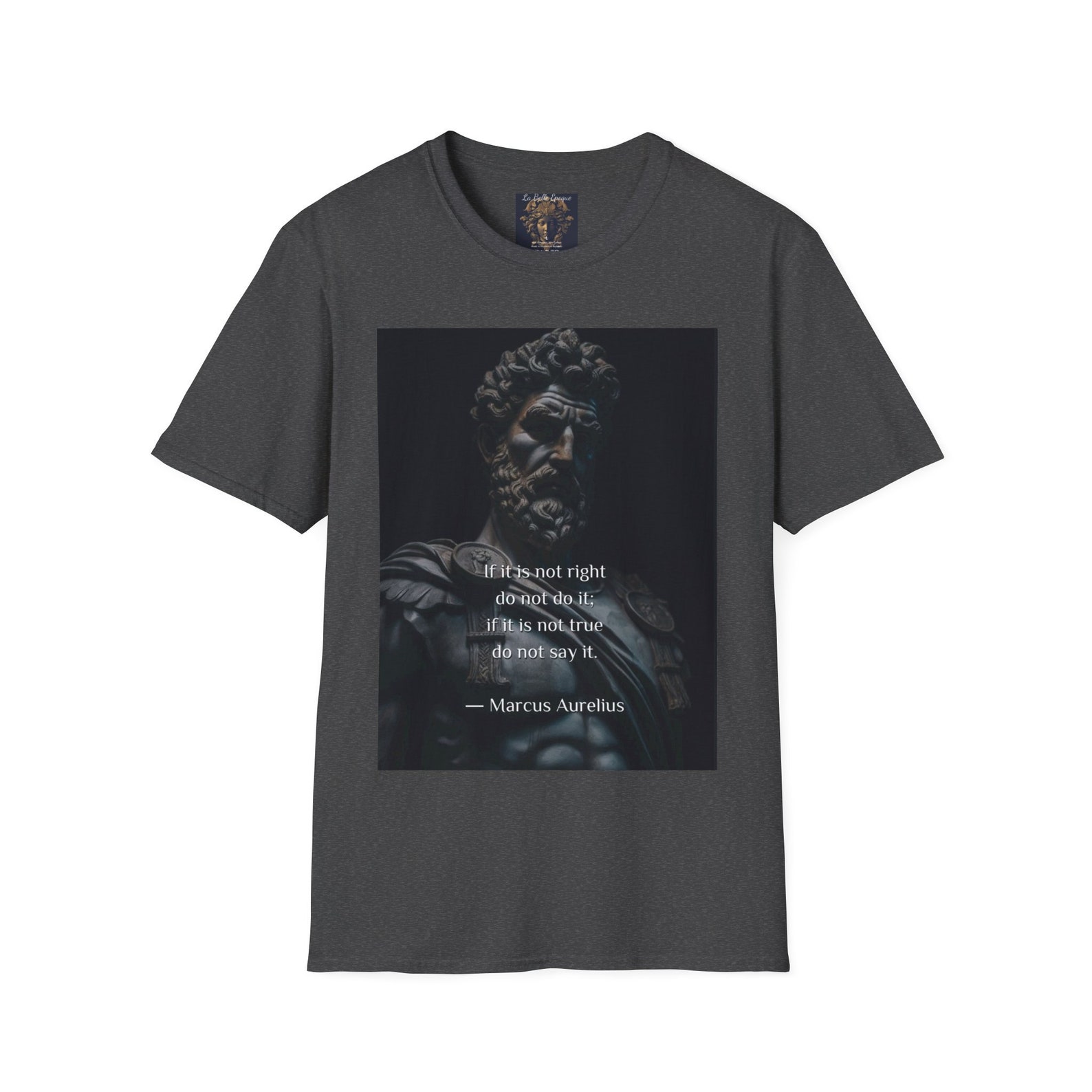 Philosopher's Wisdom Unisex Softstyle T-shirt - Ancient Quotes for ...
