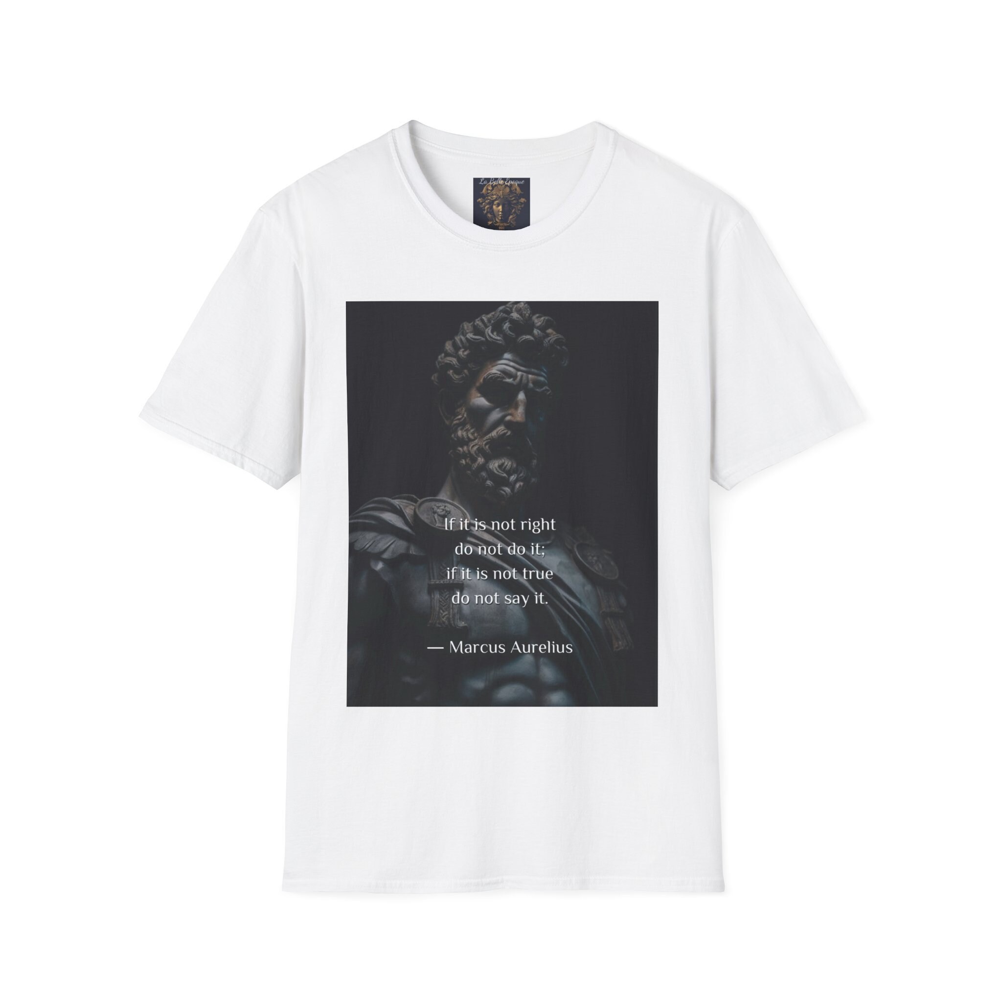 Philosopher's Wisdom Unisex Softstyle T-shirt - Ancient Quotes for ...
