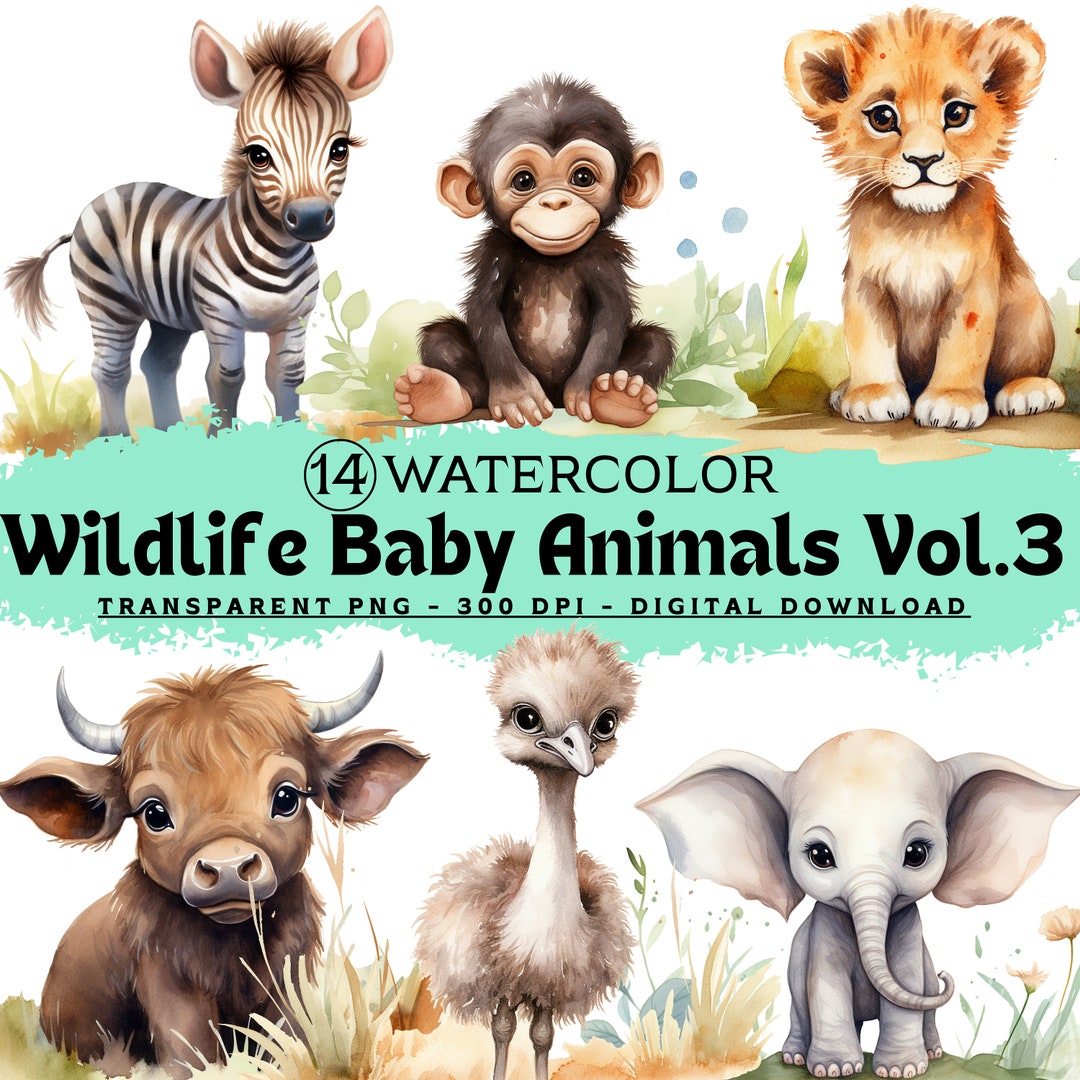 14 Wild Animal Baby Clipart Pack Vol. 3, Cute Watercolor Baby Animals ...