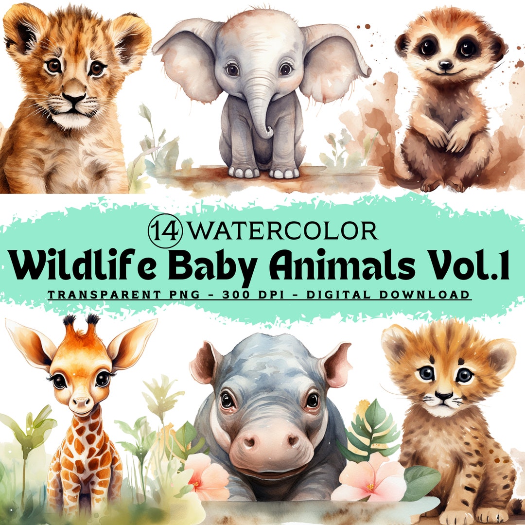 14 Wild Animal Baby Cliparts Package Vol. 1, Cute Watercolor Animals ...
