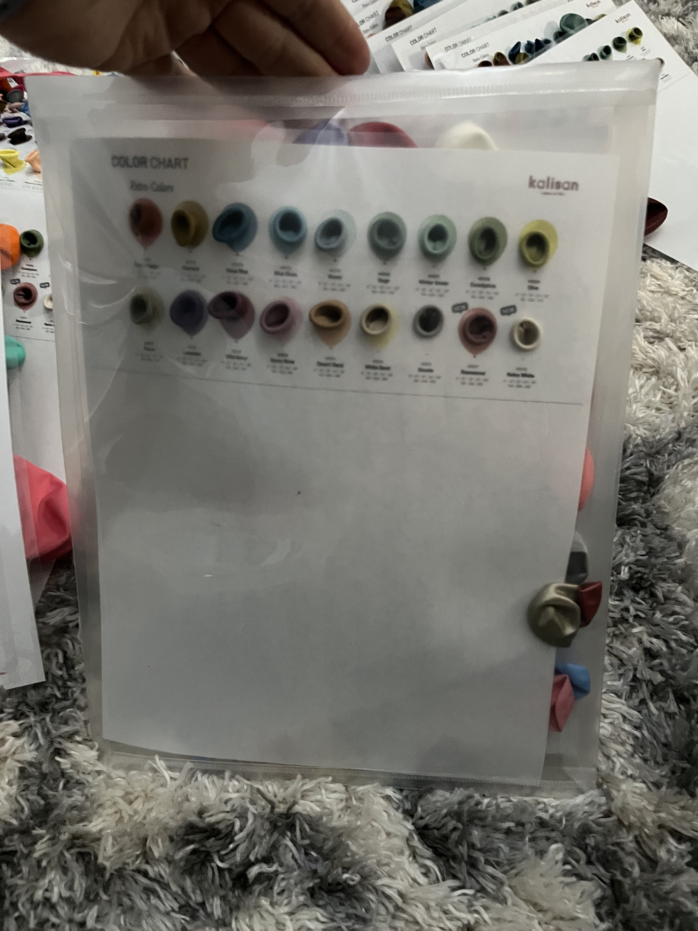 Kalisan Color Chart W/balloons - Etsy