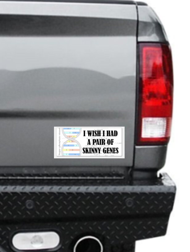 Bumper Sticker, Funny, Window Decal, Hilarious Humor, Car,truck, Suv ...