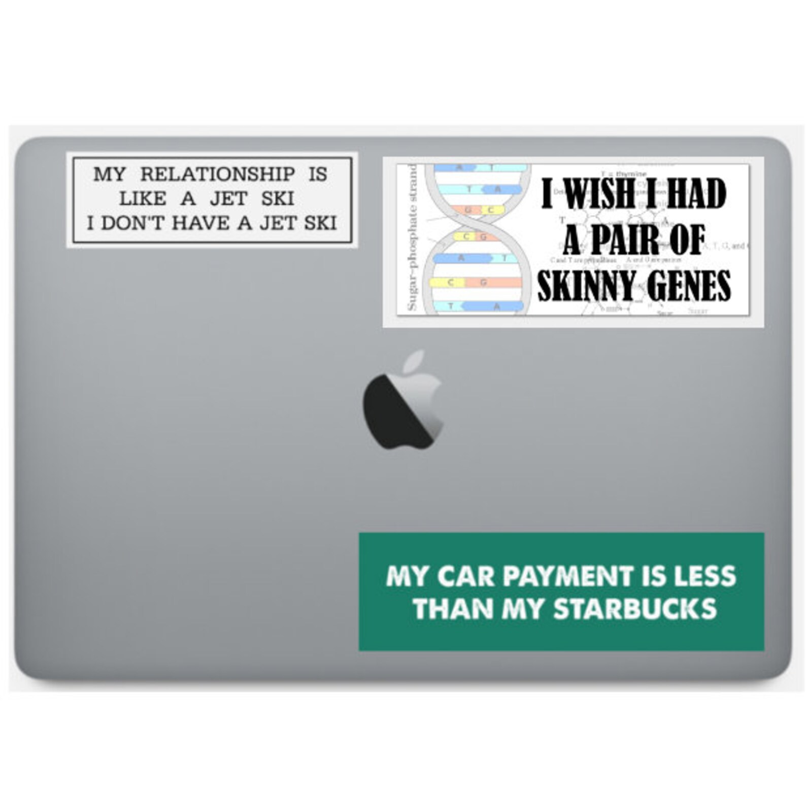 Bumper Sticker Funny Window Decal Hilarious Humor - Etsy