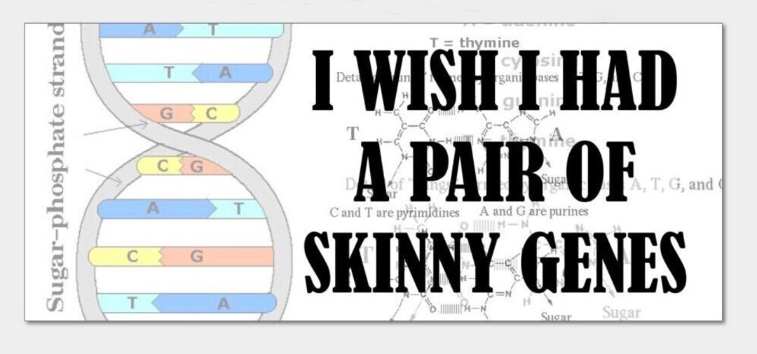 Bumper Sticker, Funny, Window Decal, Hilarious Humor, Car,truck, Suv ...