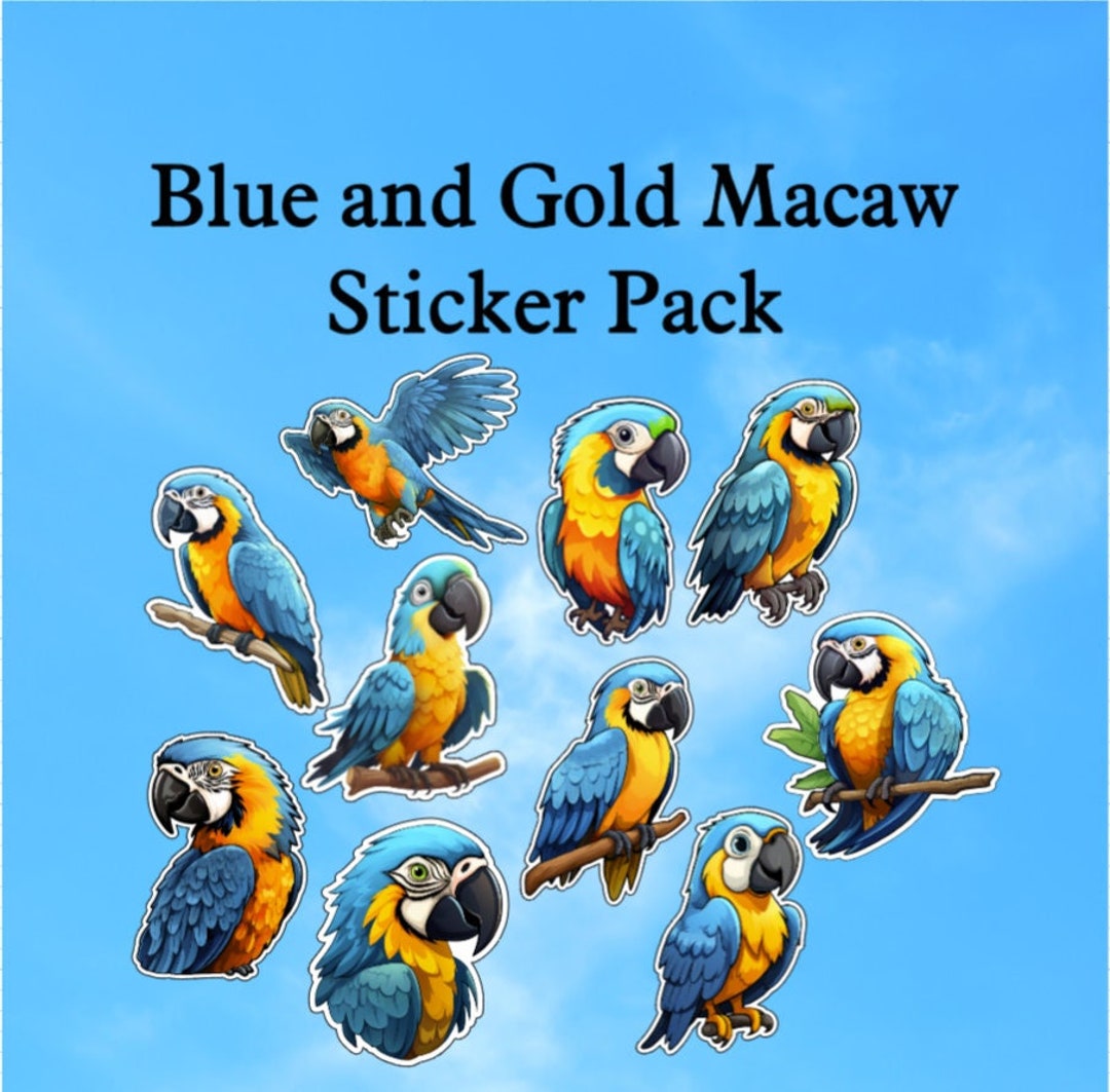 Blue & Yellow Macaw Sticker Pack - Etsy