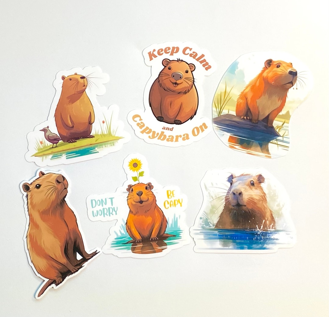 Capybara Sticker Pack (6x 3” Stickers) - Etsy