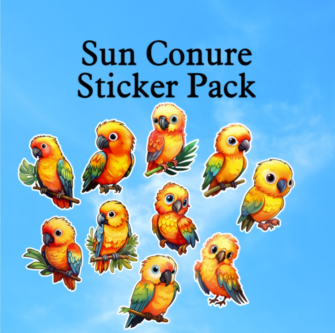 Sun Conure Sticker Pack - Etsy