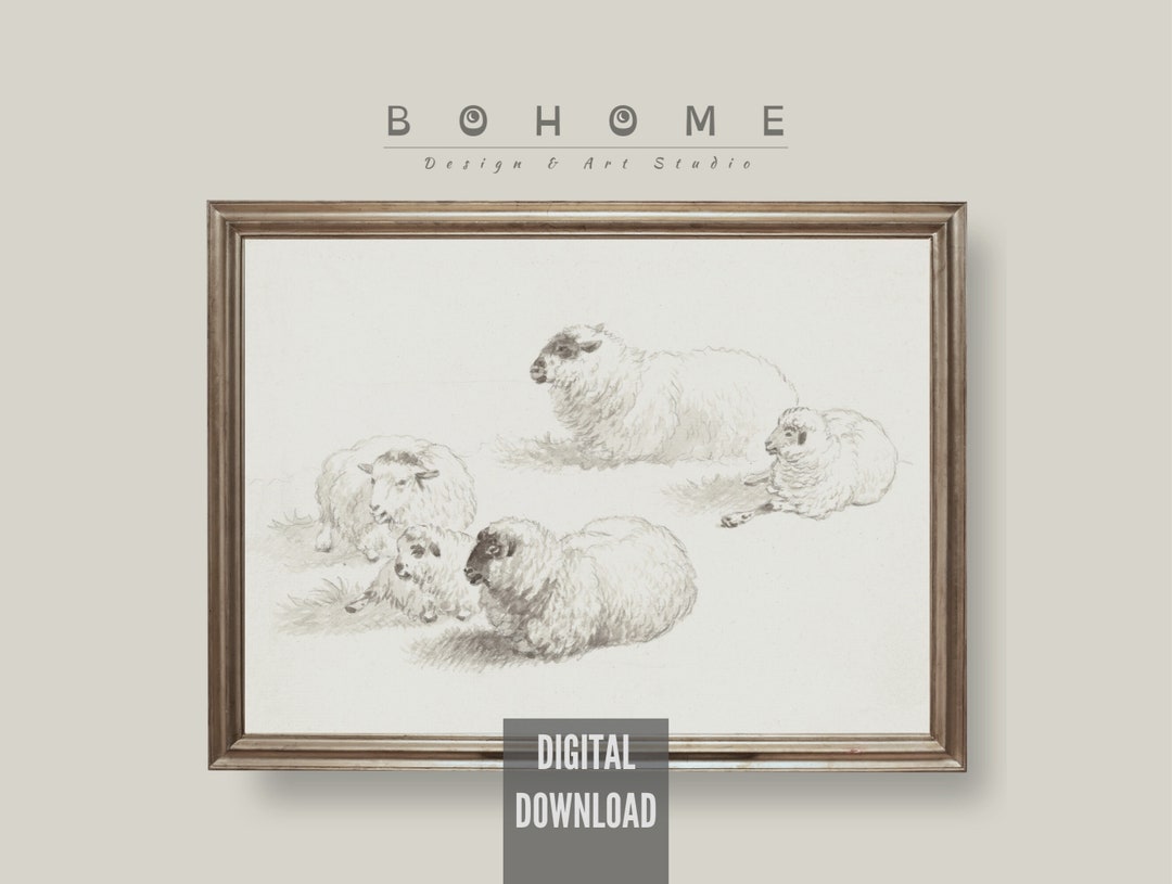Vintage Sheep Drawing: Farmhouse Animal Print (digital Download) - Etsy