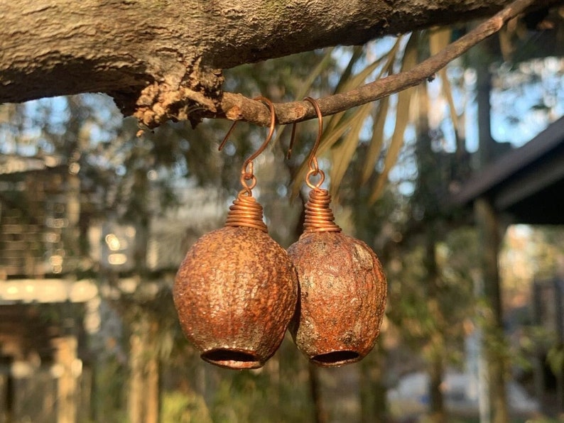 Rooted Designs Jewellery Gumnut Seeds Australian Native Earrings ...