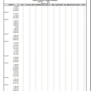 Tithe Spreadsheet. ** PREVIEW VERSION ** SIMPLE, Tithe Donations ...