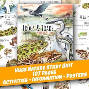 FROG and TOAD Nature Unit, HUGE Printables Collection, Life Cycle ...
