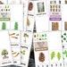TREE Nature Unit, HUGE Printables Collection, Leaf Shape, Life Cycle ...