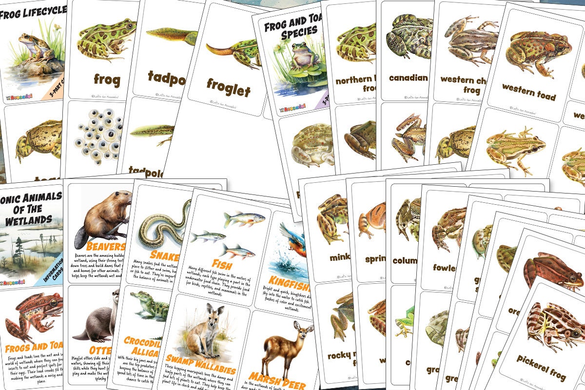 FROG and TOAD Nature Unit, HUGE Printables Collection, Life Cycle ...