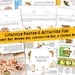 BEES NATURE STUDY Unit, Huge Printables Collection, Life Cycle, Anatomy ...