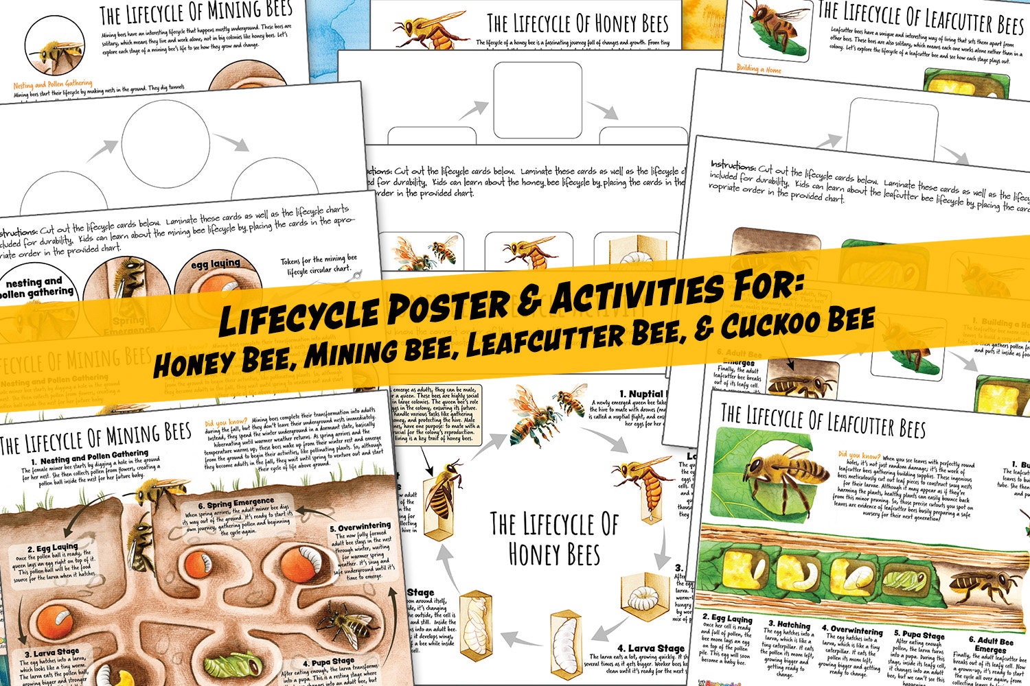 BEES NATURE STUDY Unit, Huge Printables Collection, Life Cycle, Anatomy ...